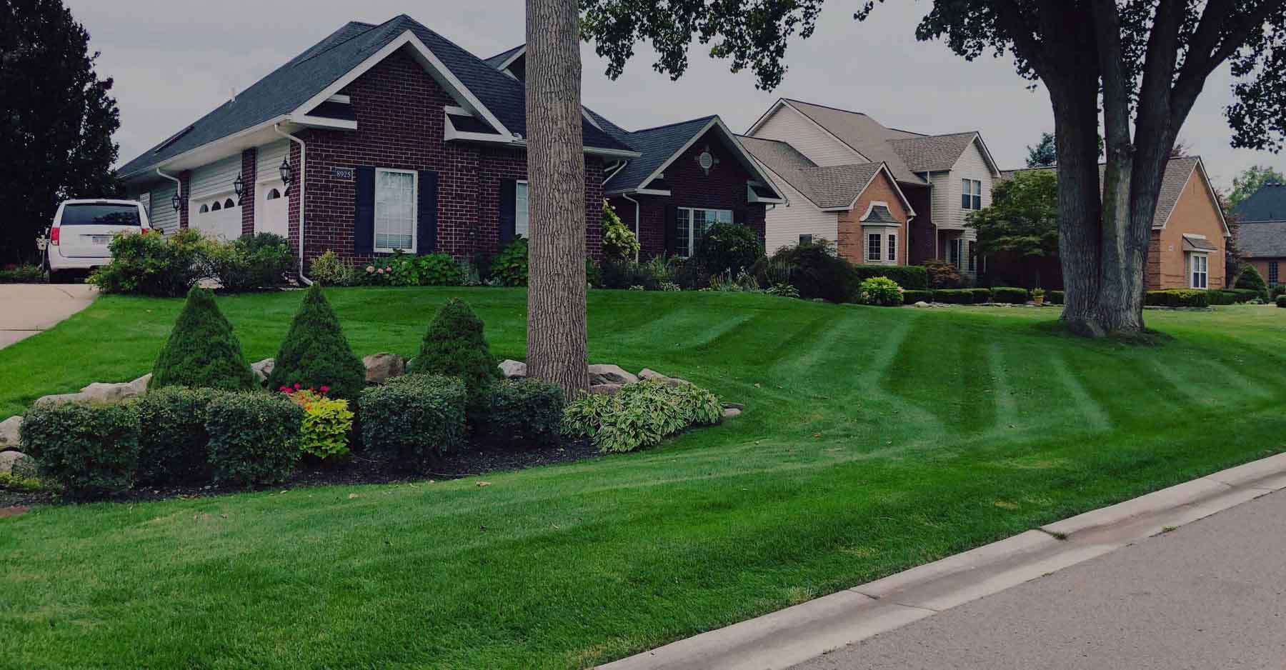 reliable-lawn-care - Reliable Outdoor Maintenance